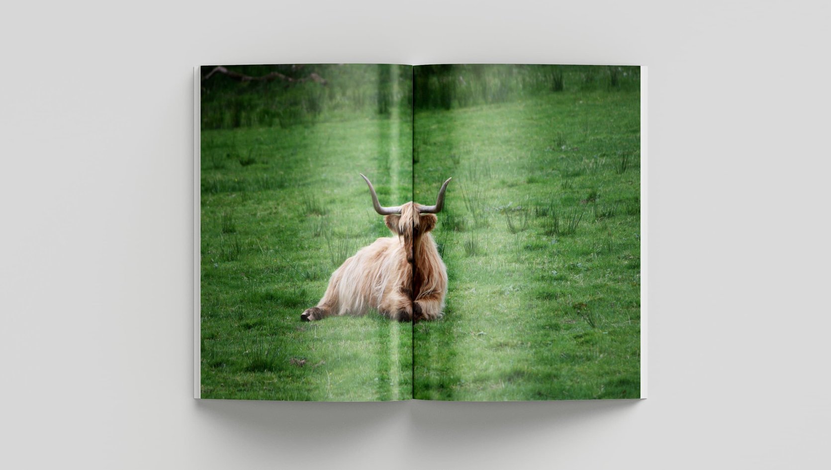 Tips on setting up a Perfect Bound Book with crossover images and text.