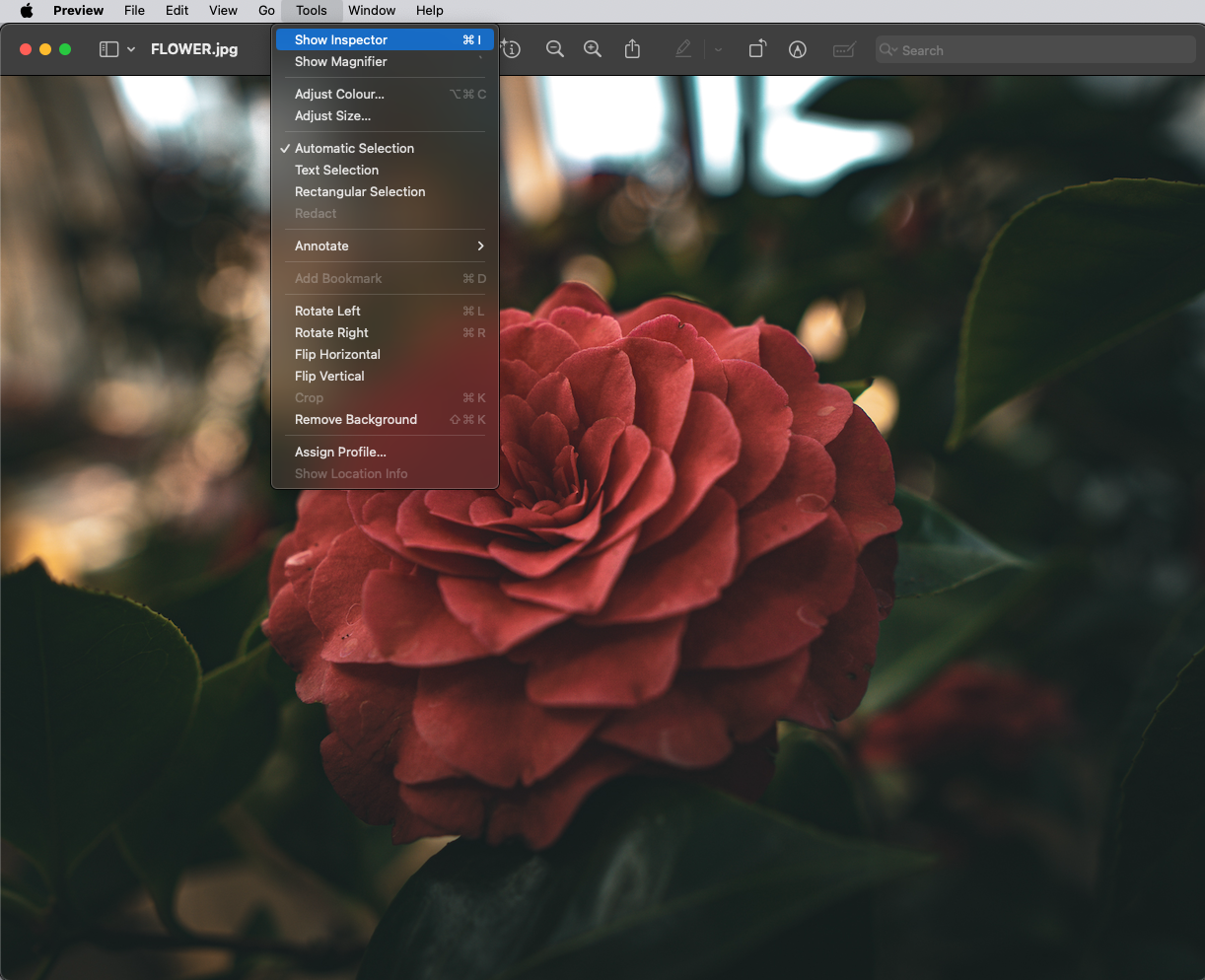 How to set up a booklet in Microsoft Word for print.