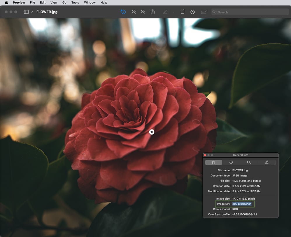 How to check the resolution of an image?